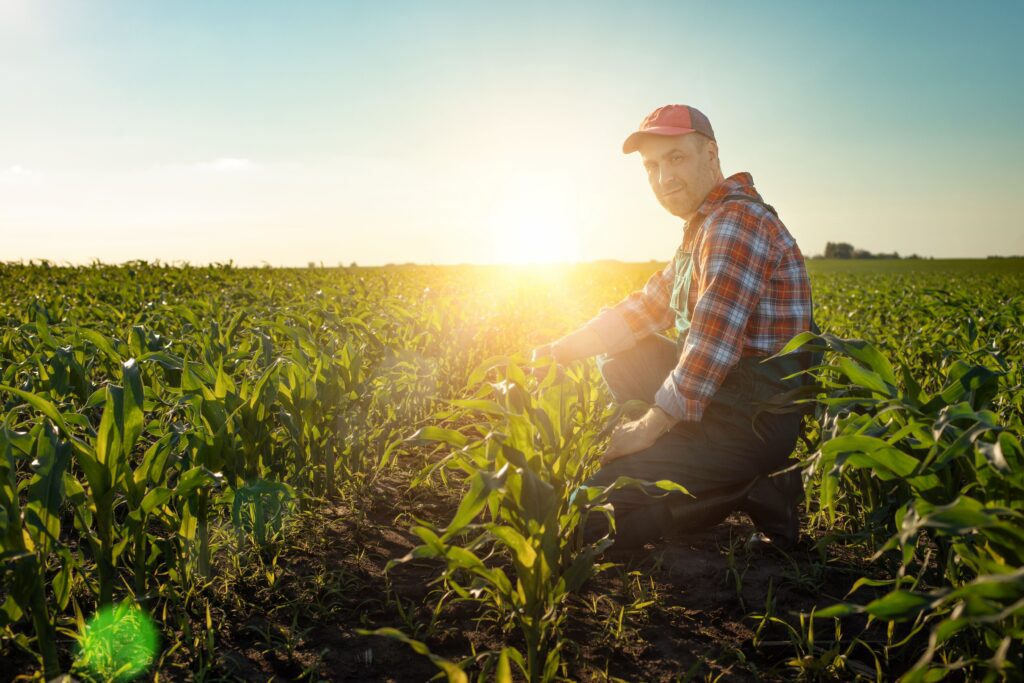 Nurturing Talent: Building a Thriving Workforce in Agriculture - Part 1 ...